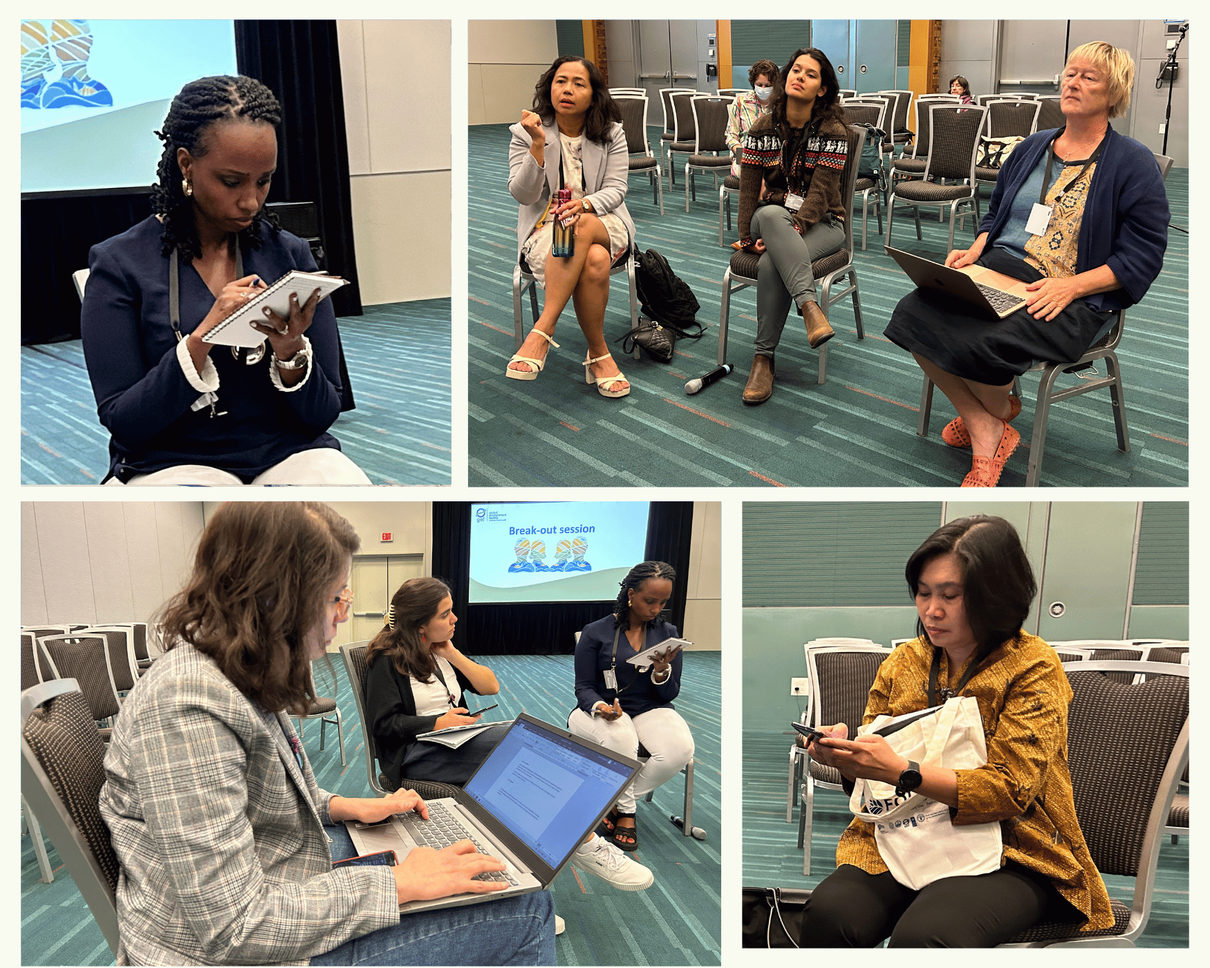 Women’s caucus builds unity at GEF Assembly to tackle agro ...